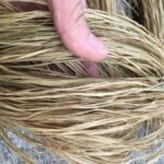 Understanding Ramie Fabric: Types, Properties, and Applications - Valtin Apparel